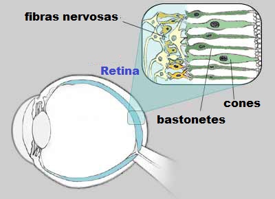 2 dicas para você enxergar melhor no escuro! – Blog Tatiana Gebrael